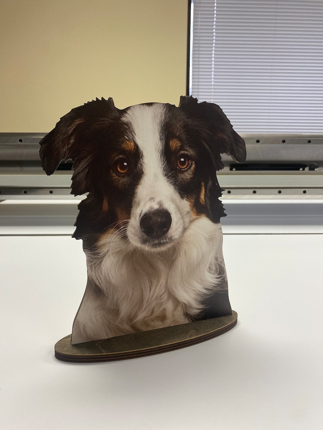 Australian Shepherd Display, Aussie Display, Aussie Head Display, Dog ...