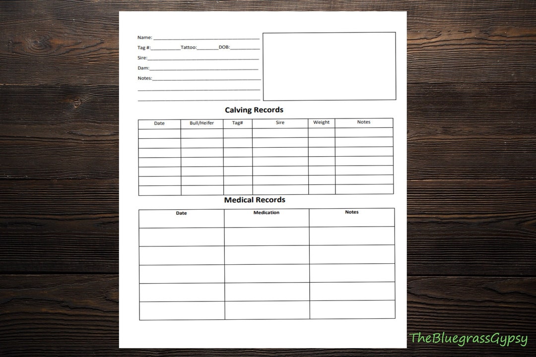 Cattle Record Sheet - Etsy