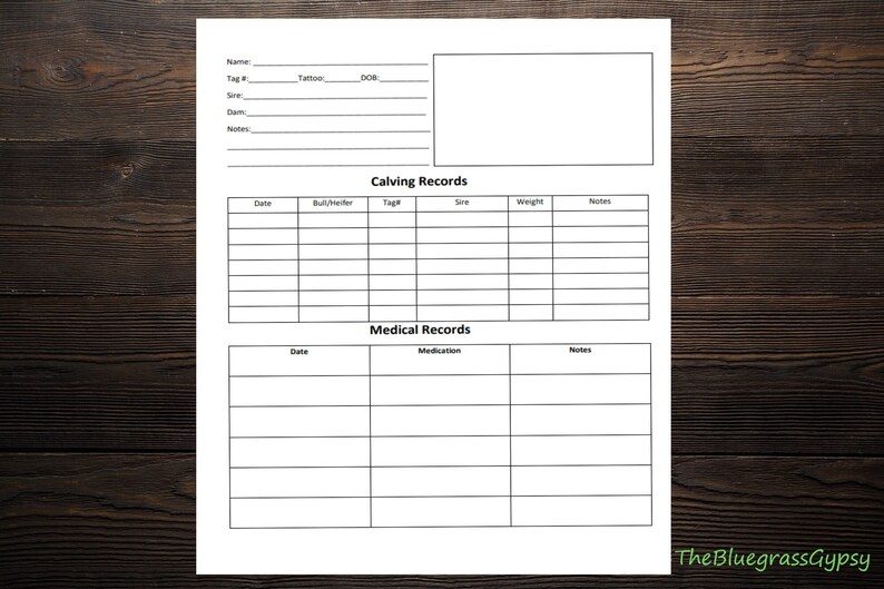 Cattle Record Sheet - Etsy