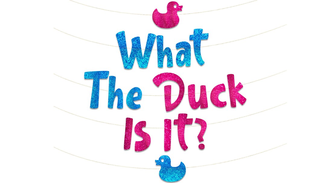 What the Duck is It? Gender Reveal Party Banner – Pink and Blue Baby ...