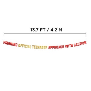 Warning Official Teenager Approach With Caution Gold Glitter Banner ...