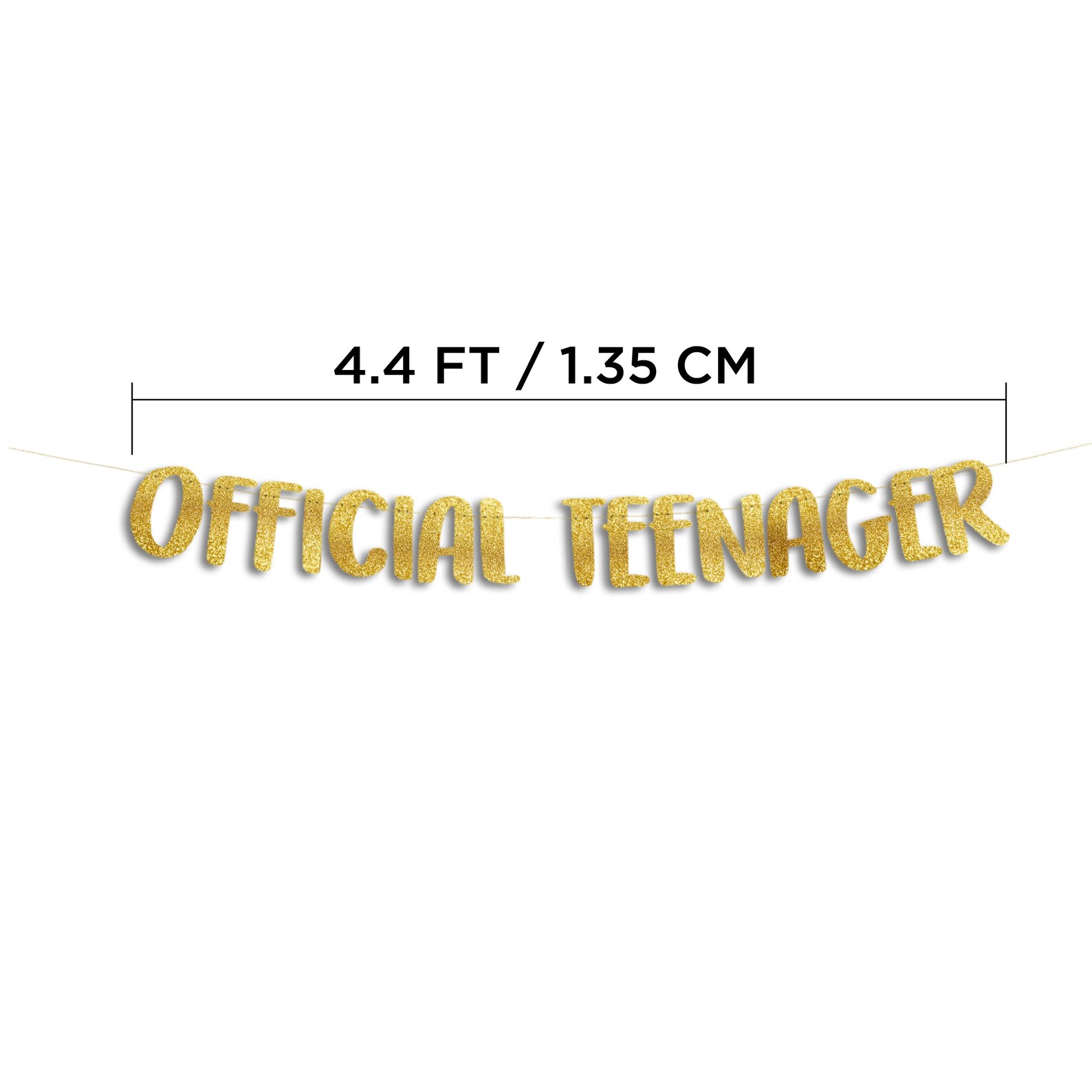 Official Teenager Gold Glitter Banner - 13th Birthday Party Supplies ...