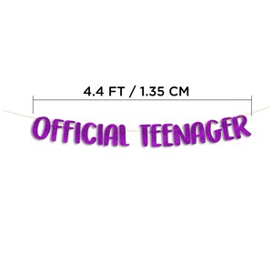 Official Teenager Purple Glitter Banner - 13th Birthday Party ...