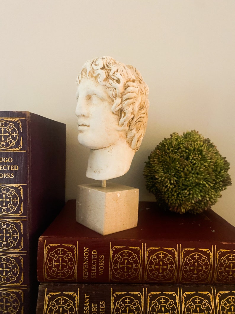 Neoclassical Small Bust of David Plaster Vintage Bust of - Etsy
