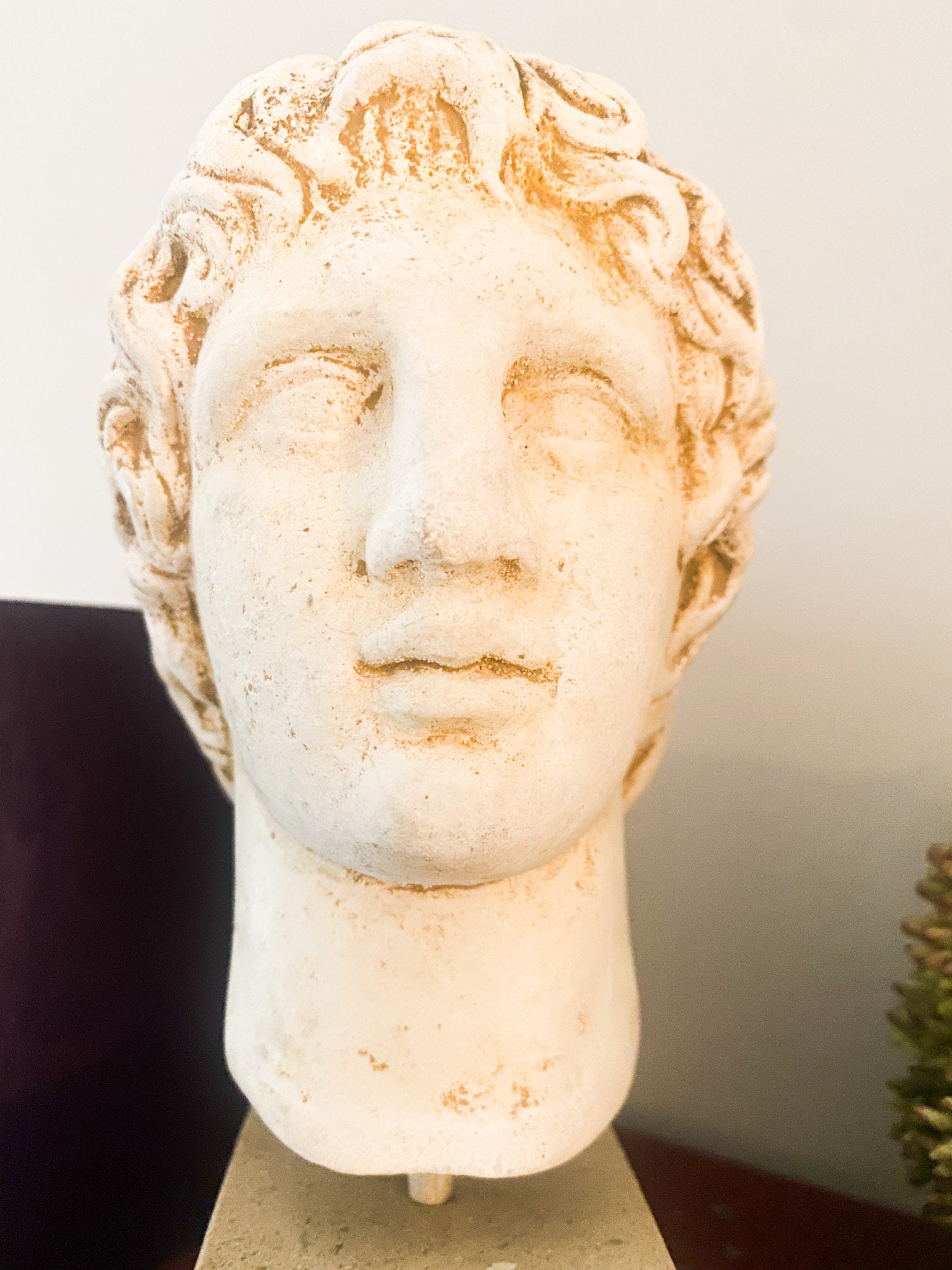 Neoclassical Small Bust of David Plaster Vintage Bust of - Etsy