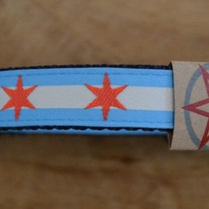 Chicago Flag Dog Collar - Small - Etsy