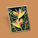 Bird of Paradise Enamel Lapel Pin Badge / Synthesis X Lost Lost Supply ...