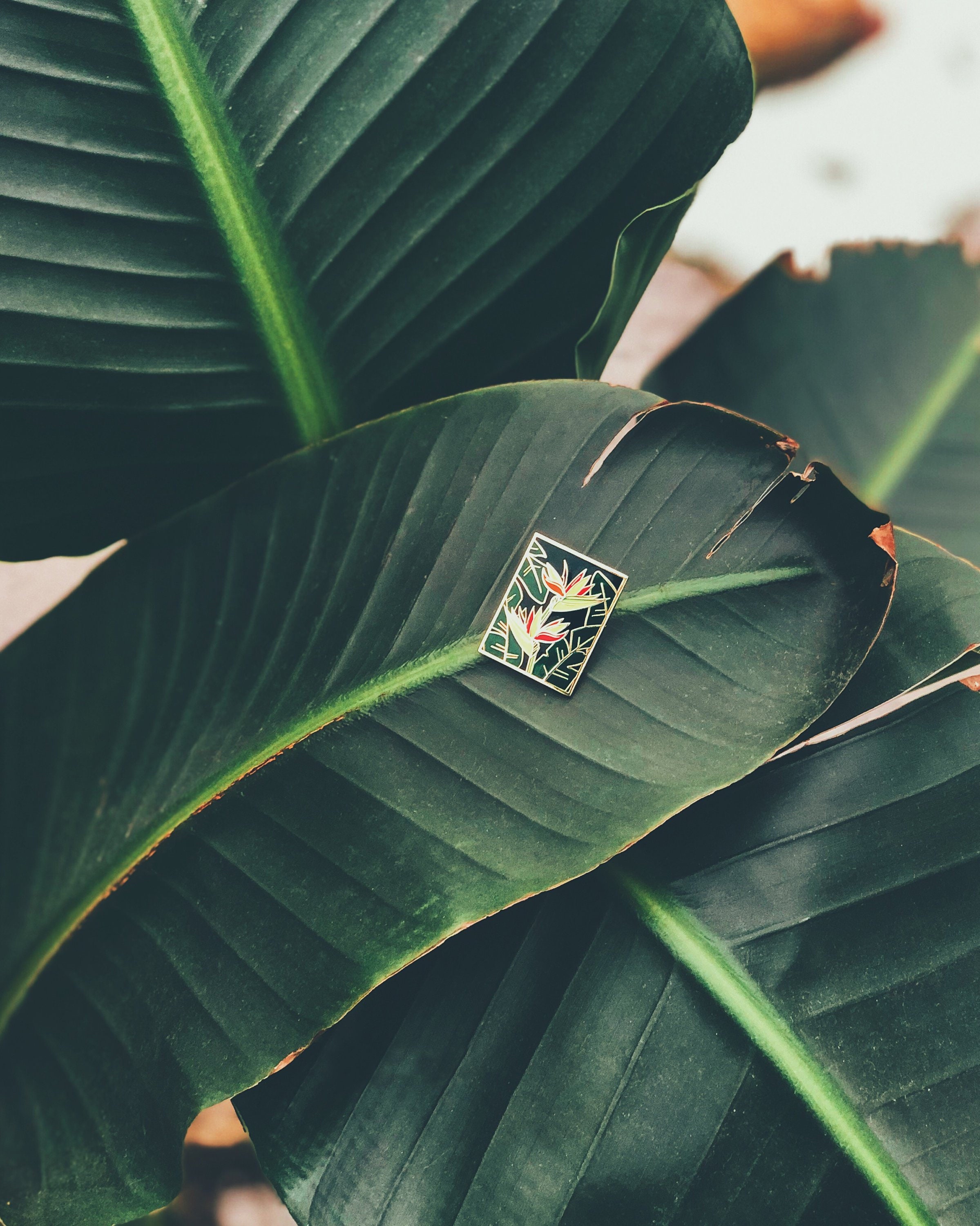 Bird of Paradise Enamel Lapel Pin Badge / Synthesis X Lost Lost Supply ...