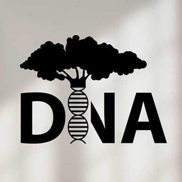 Chemistry Decal - Etsy