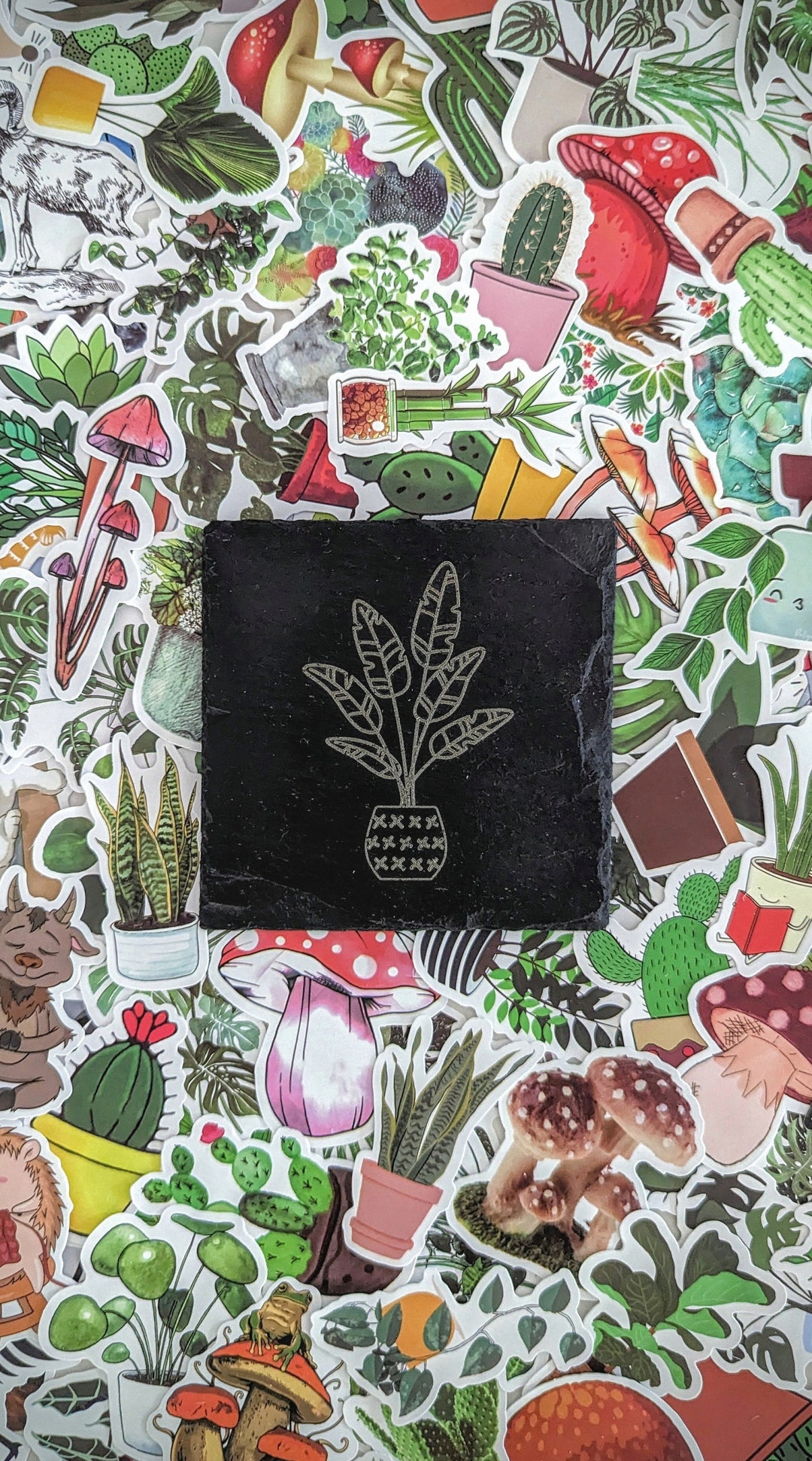 Plant Coaster & Sticker Gift Set With Custom Engraved Message, Slate ...