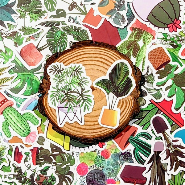 Boho Plant Sticker - Etsy