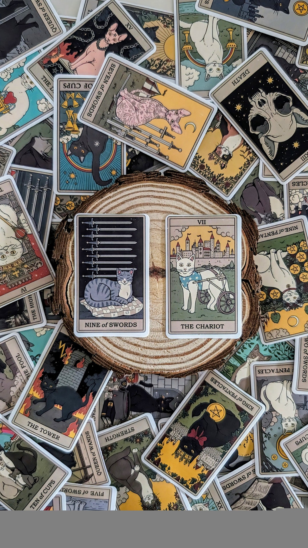 75 Cat Tarot Card Stickers Wrapped Gift, 2023 Set, Witchy & Woowoo ...