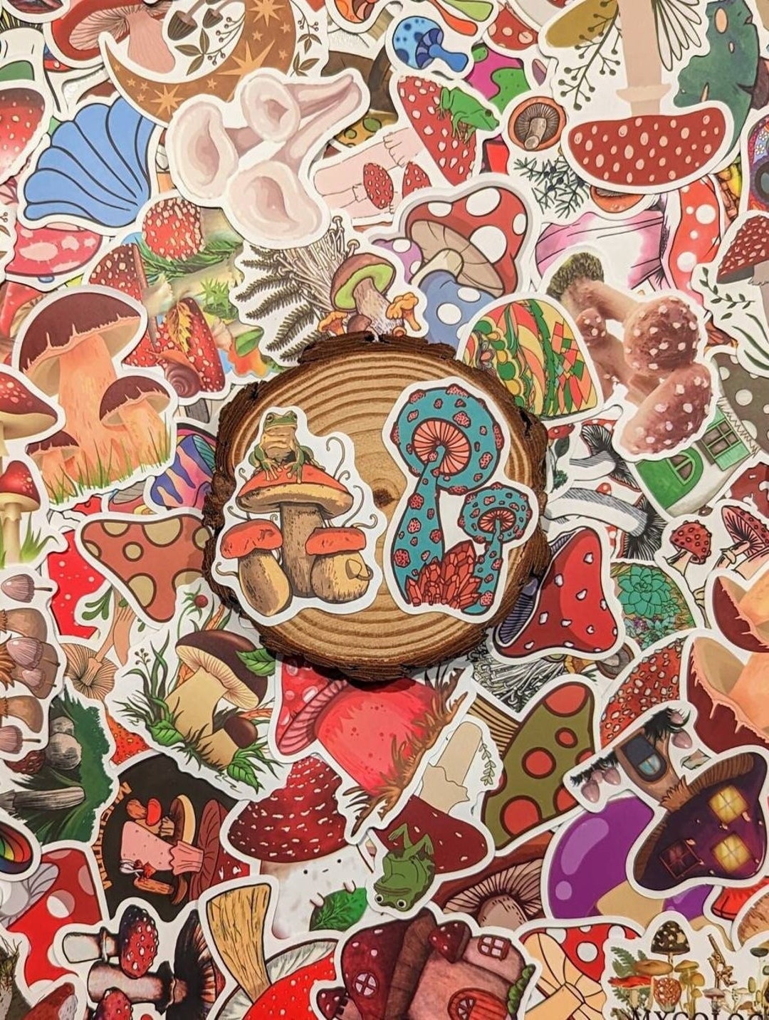 100 Mushroom Stickers Pre-wrapped Gift, 2023 Set, New Colorful Boho ...