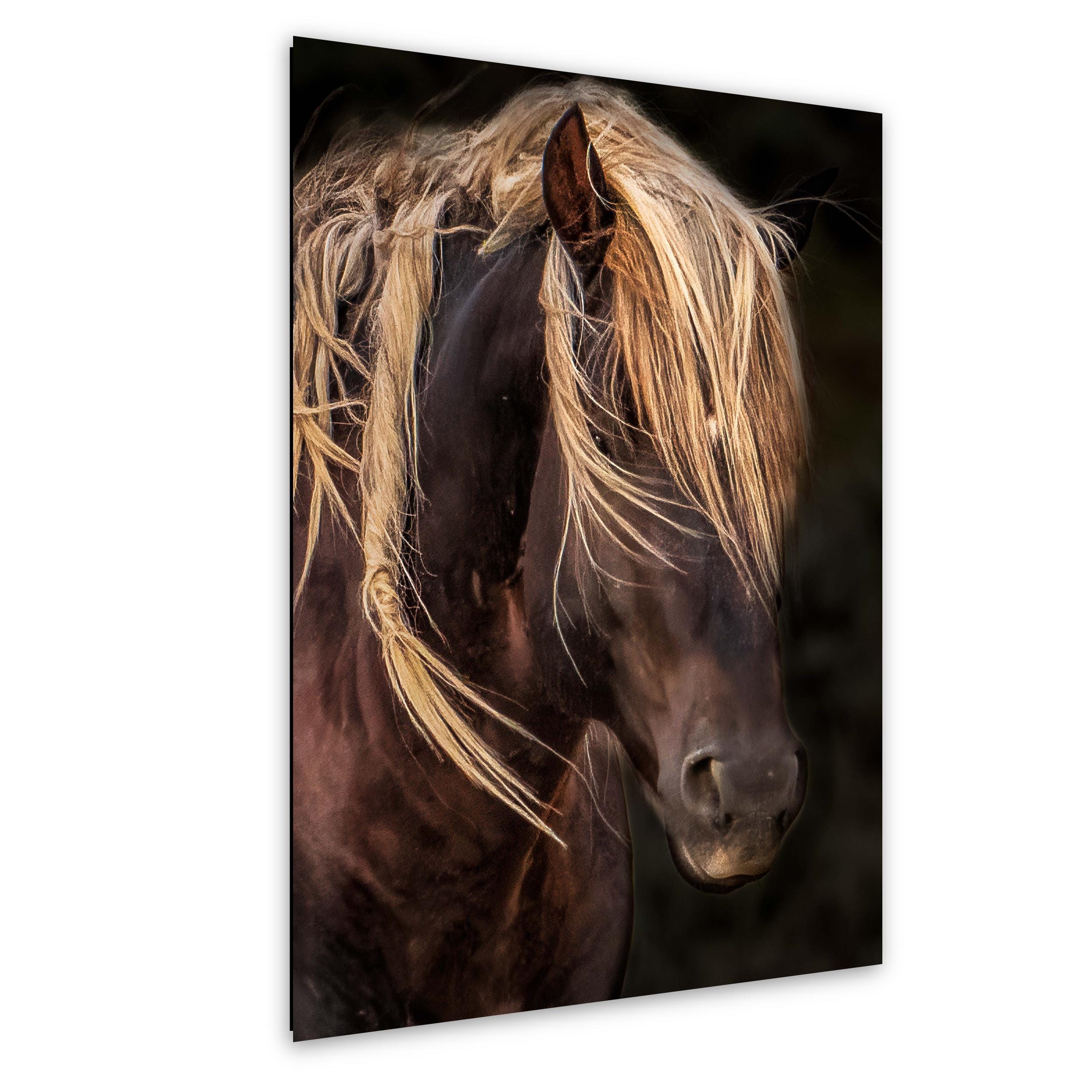 Wild Mustang Portrait Print | Mccullough Peaks Wyoming , Western Horse ...