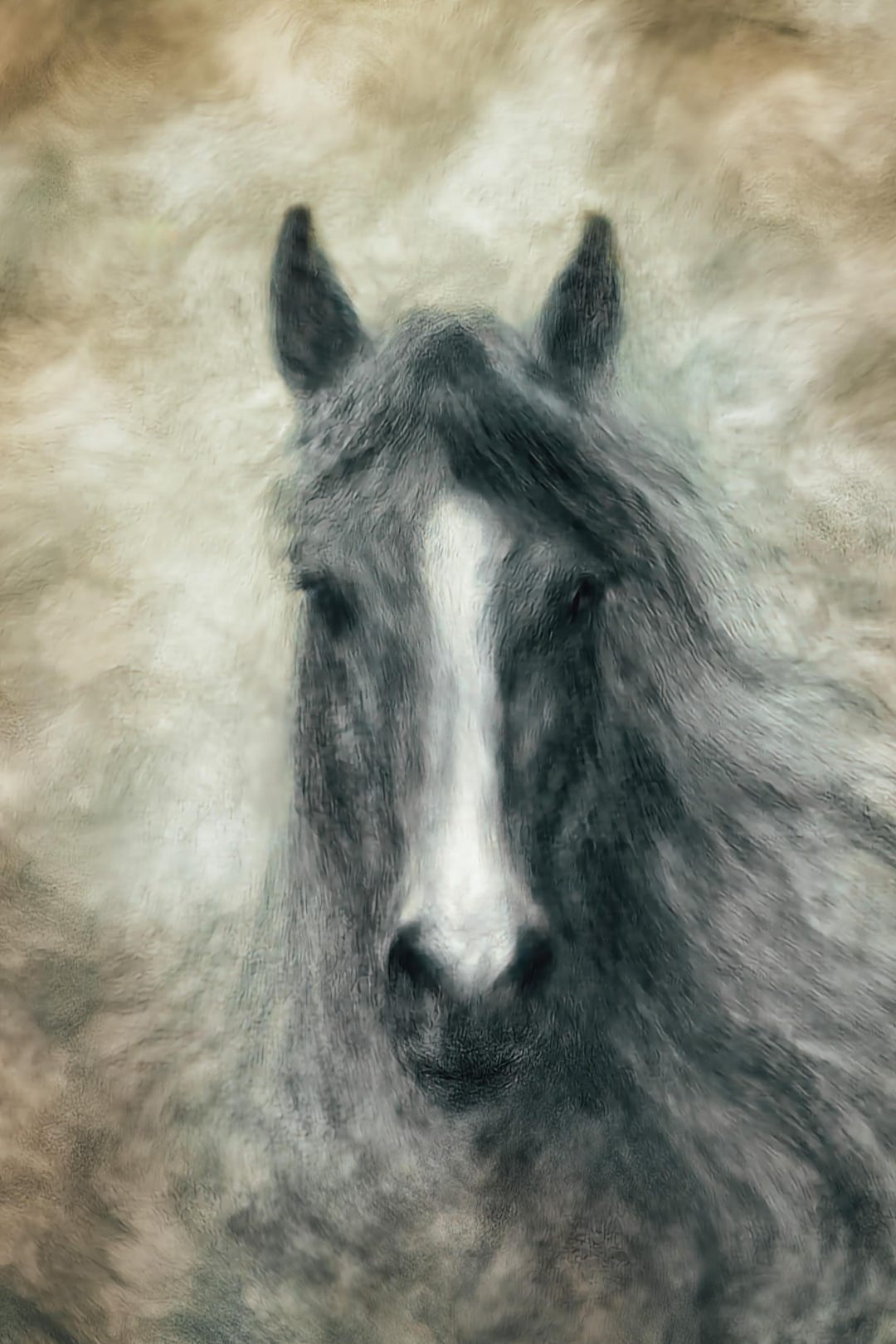 Wild Horse Portrait: Ethereal Equine Art From Mccullough Peaks - Etsy