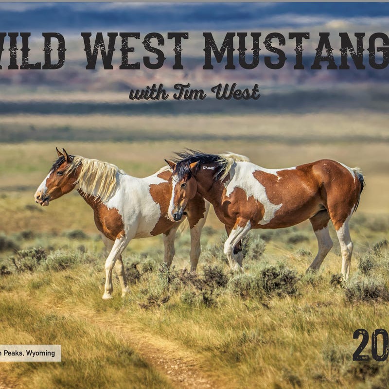 Cowboy Calendar 2026 - Etsy