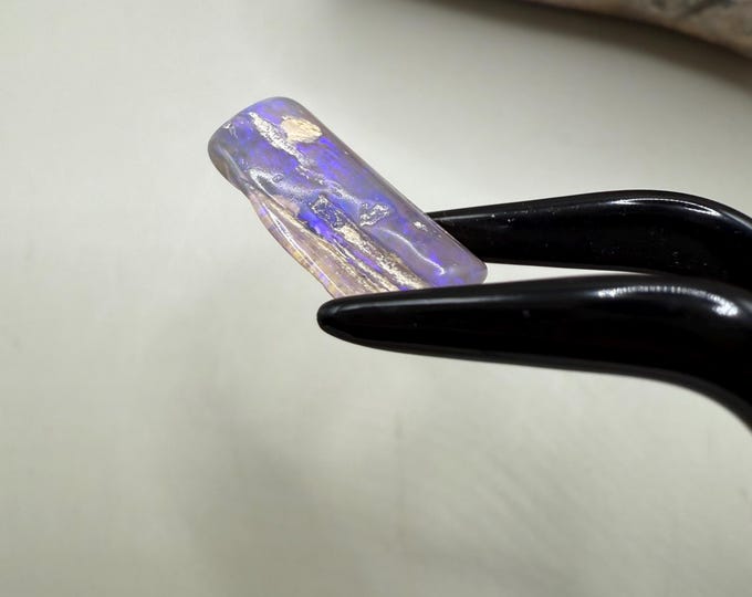 Lightning Ridge Opalised Fossil F01 - Etsy