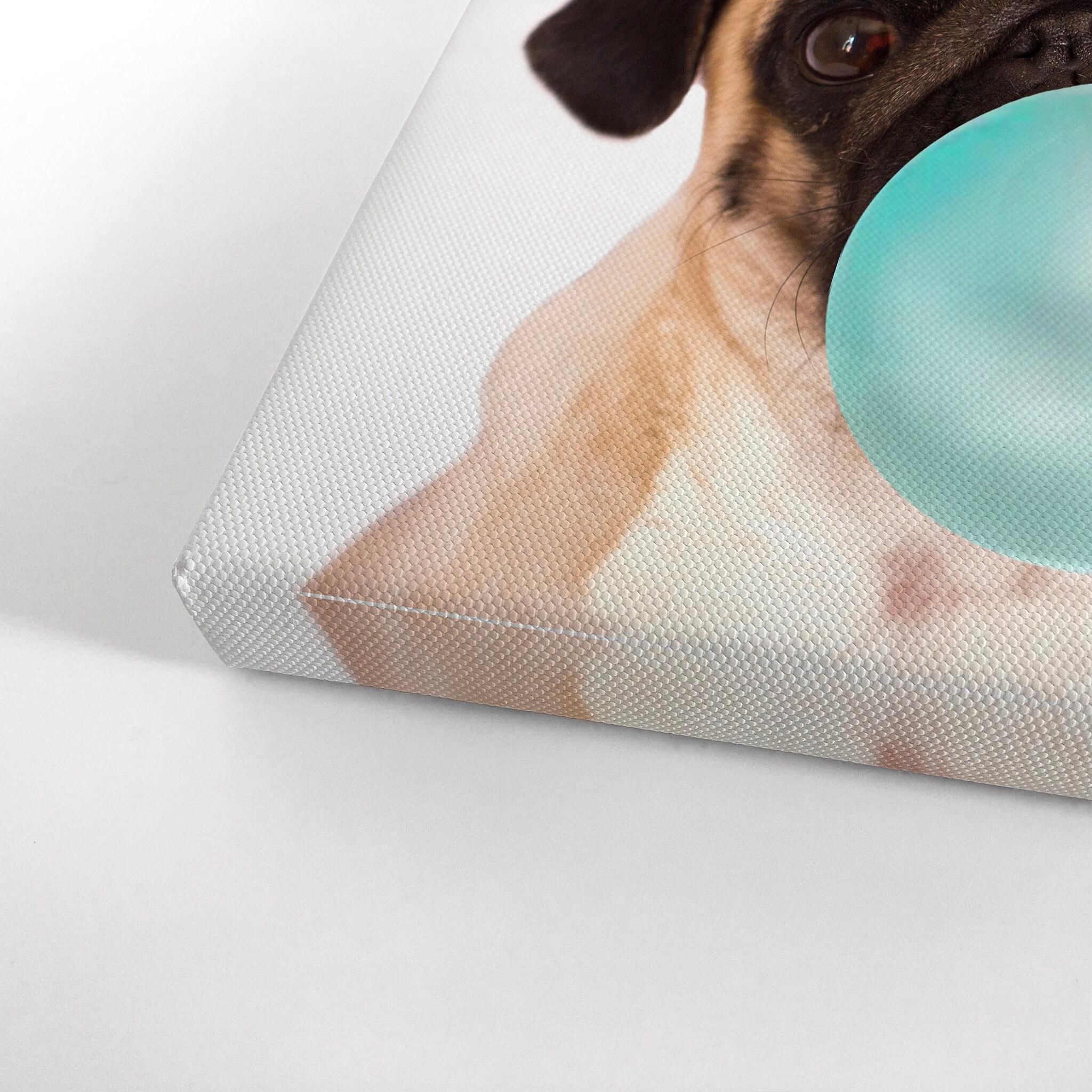Cute Puppy Pug Dog Animal Bubble Gum Art Teal Blue Canvas Wall | Etsy