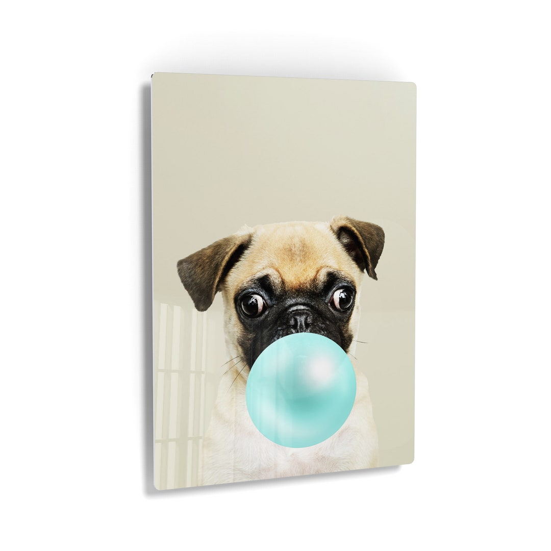 Puppy Pug Dog Animal Bubble Gum Art Teal Blue Metal Print Photo Wall ...