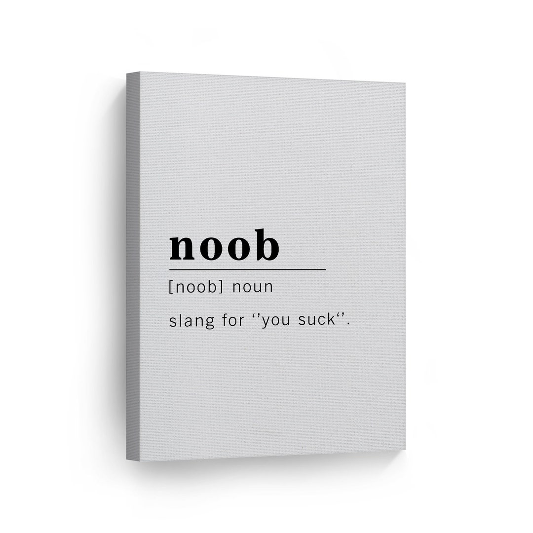 Funny Noun Dictionary Definition of Noob Canvas Print Inspirational ...