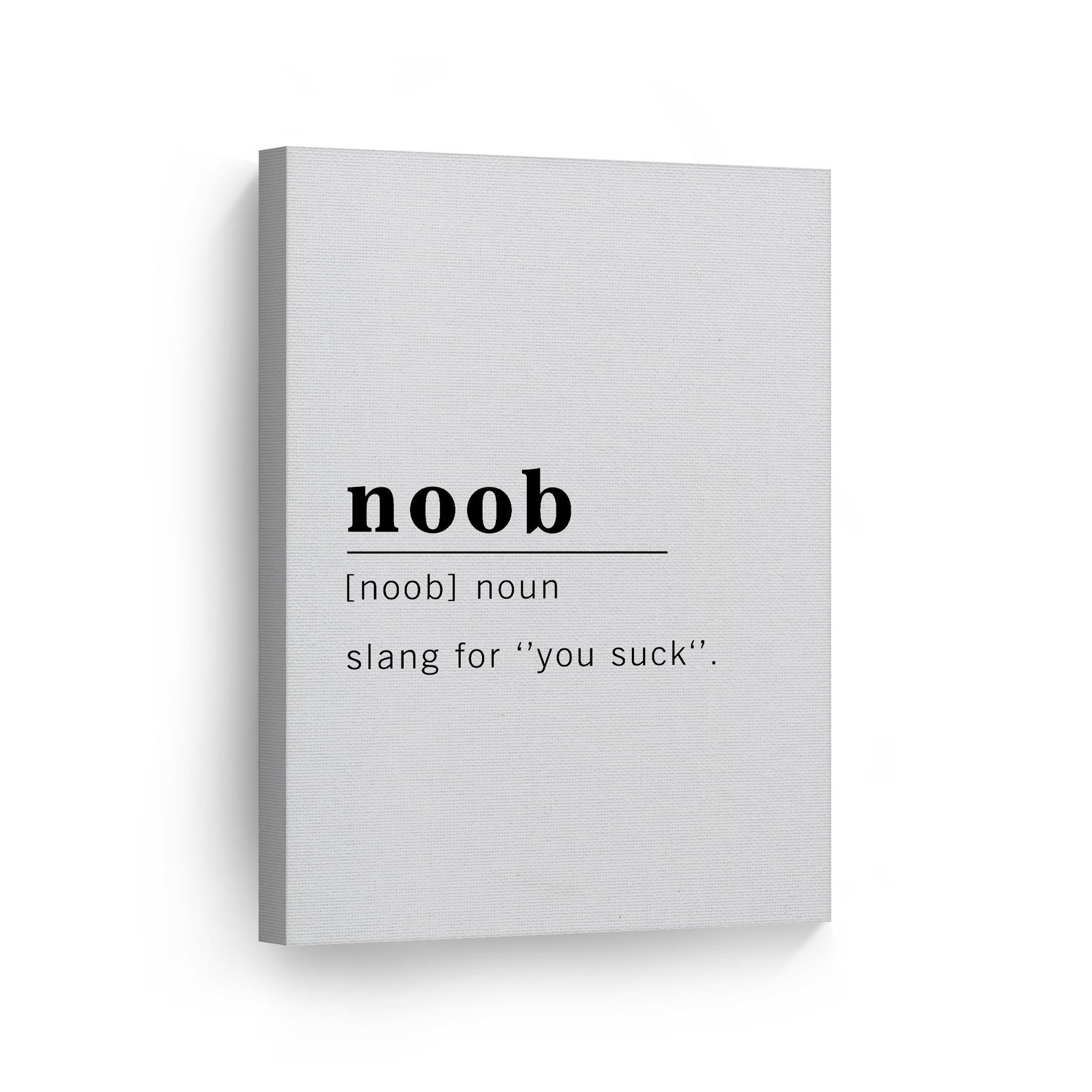 Funny Noun Dictionary Definition of Noob Canvas Print | Etsy