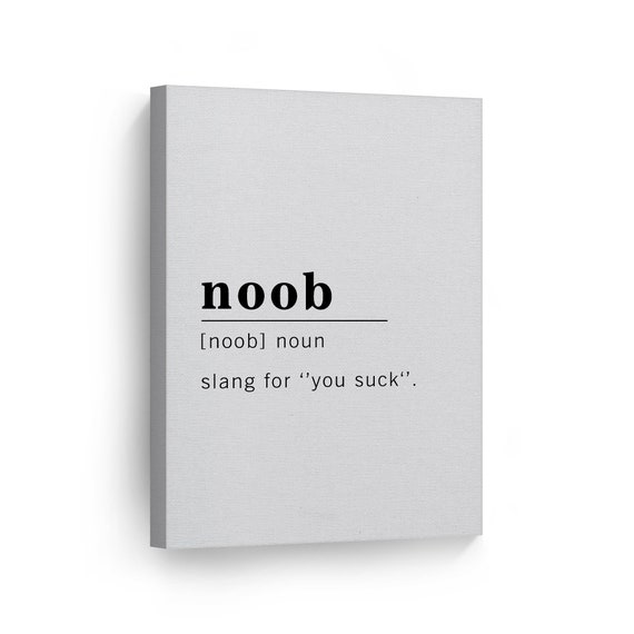 Funny Noun Dictionary Definition of Noob Canvas Print | Etsy