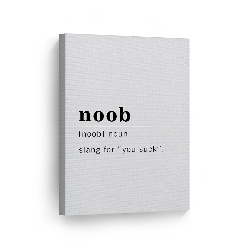 Funny Noun Dictionary Definition of Noob Canvas Print Inspirational ...