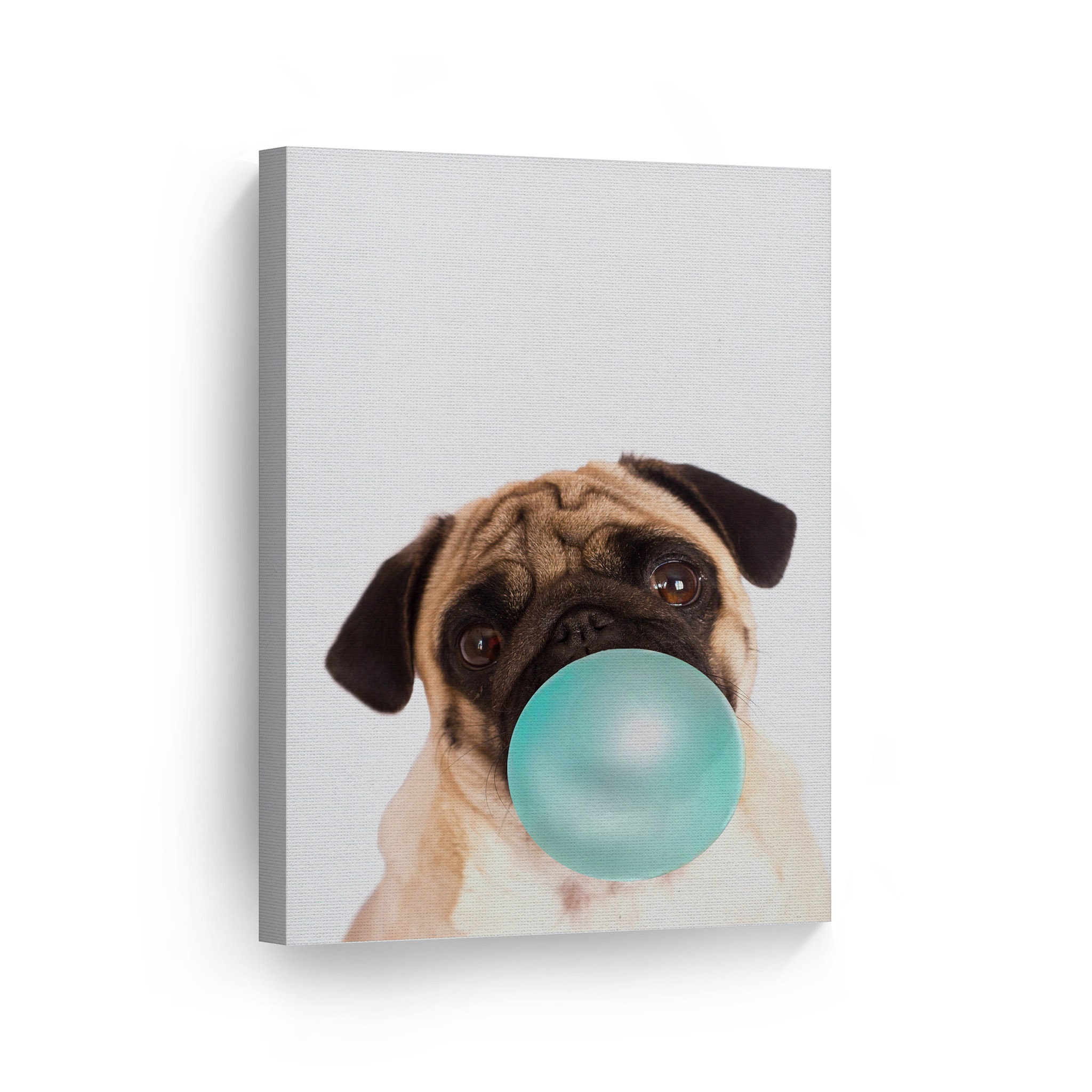 Cute Puppy Pug Dog Animal Bubble Gum Art Teal Blue Canvas Wall | Etsy