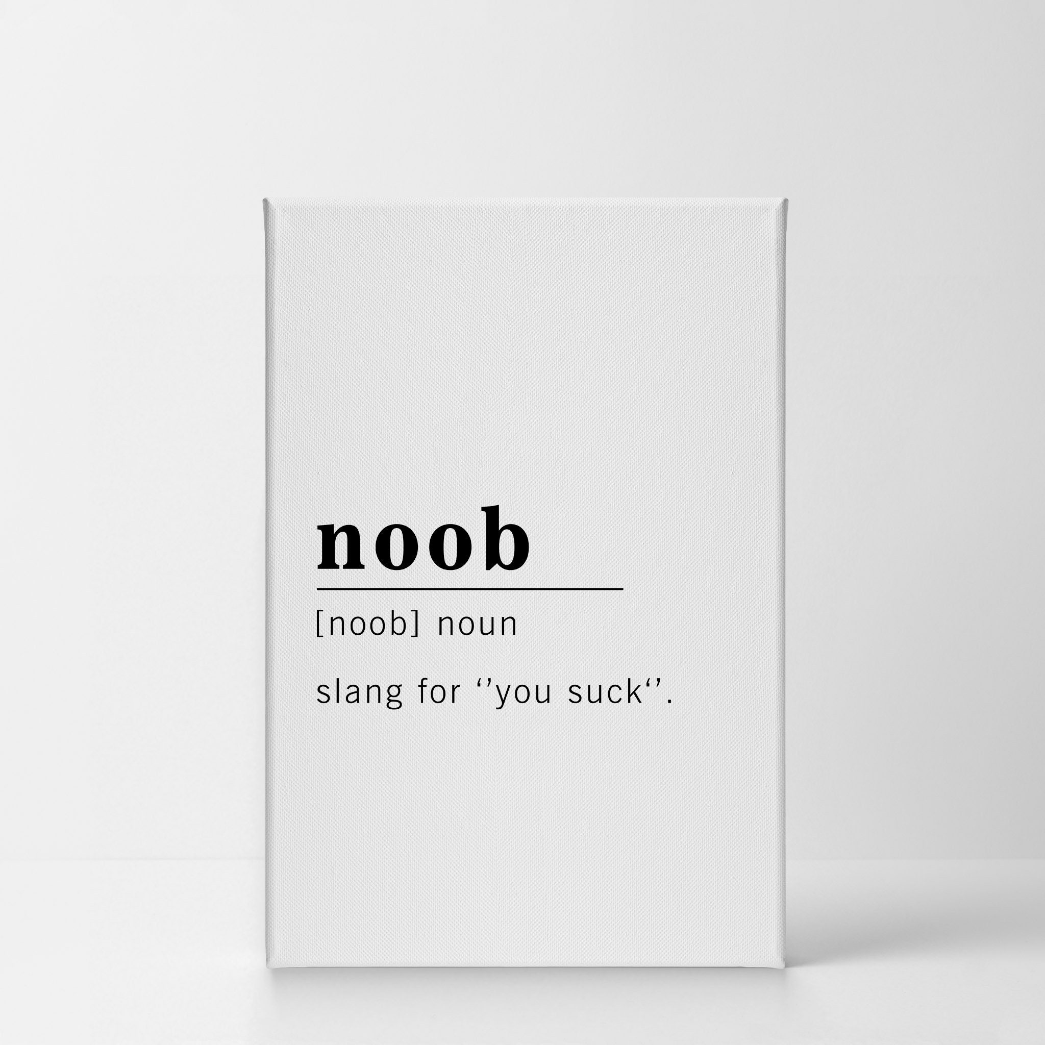 Funny Noun Dictionary Definition of Noob Canvas Print | Etsy