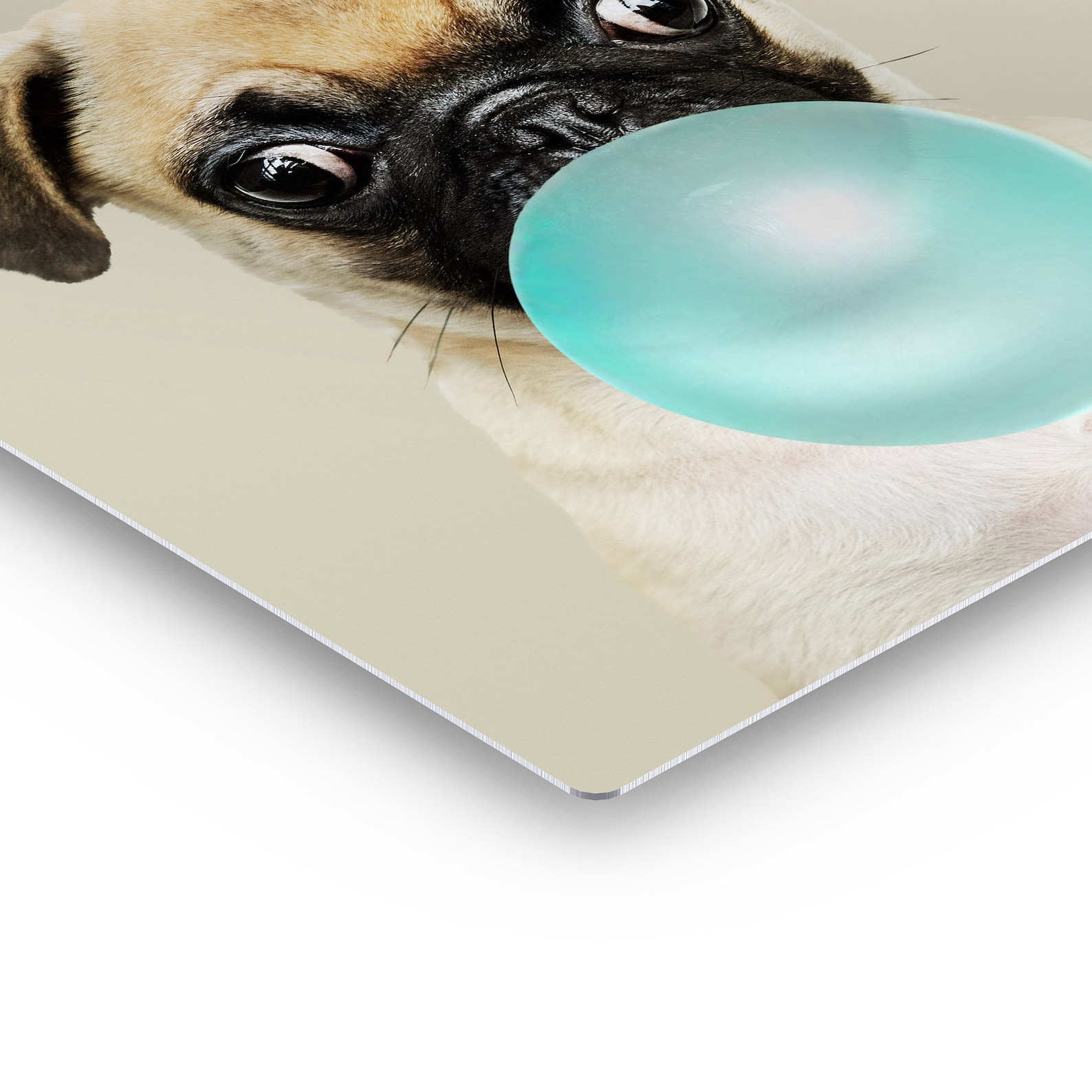 Puppy Pug Dog Animal Bubble Gum Art Teal Blue Metal Print - Etsy