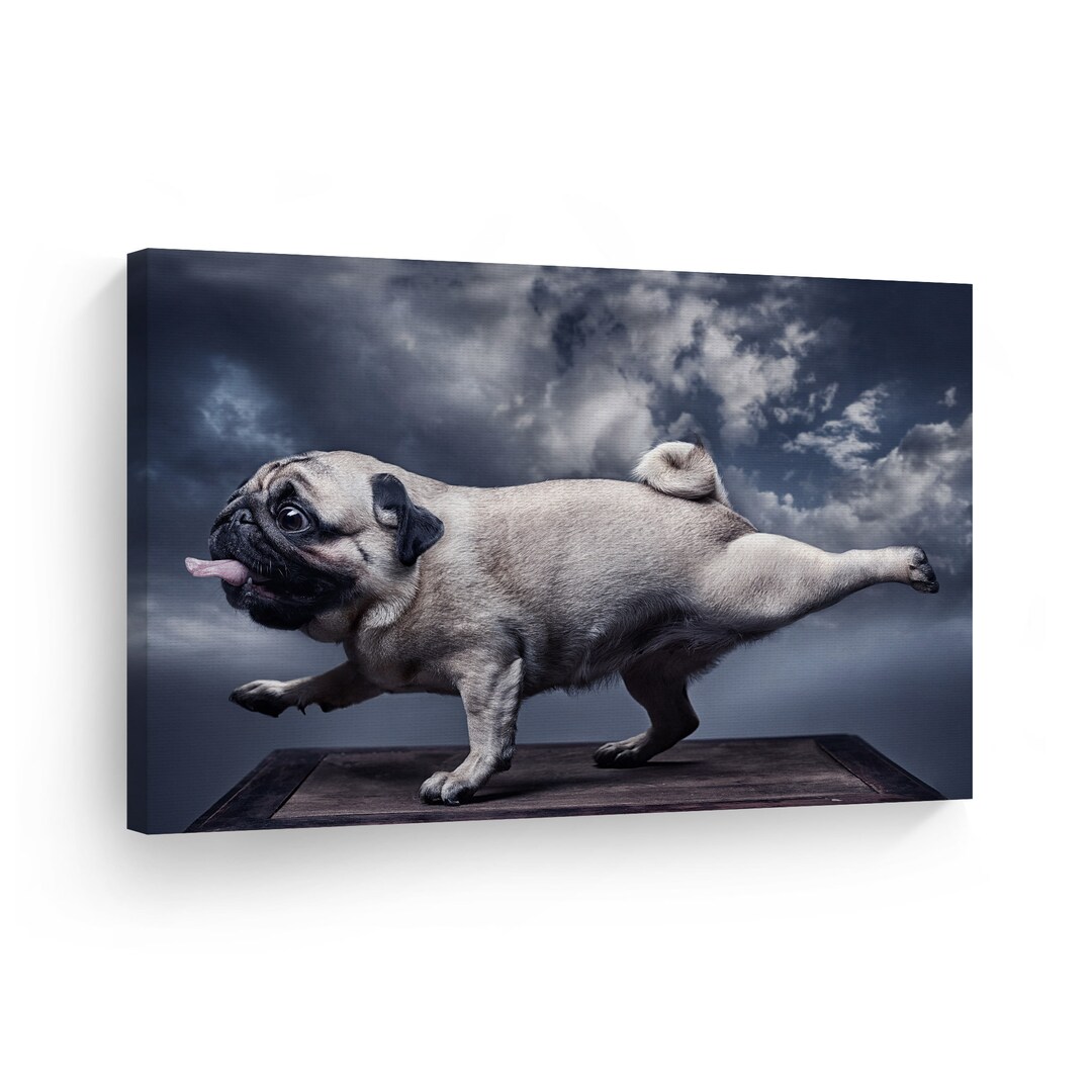 Cute Pug Stretching Dog With Sky Animal Canvas Wall Art Print Pet Owner ...