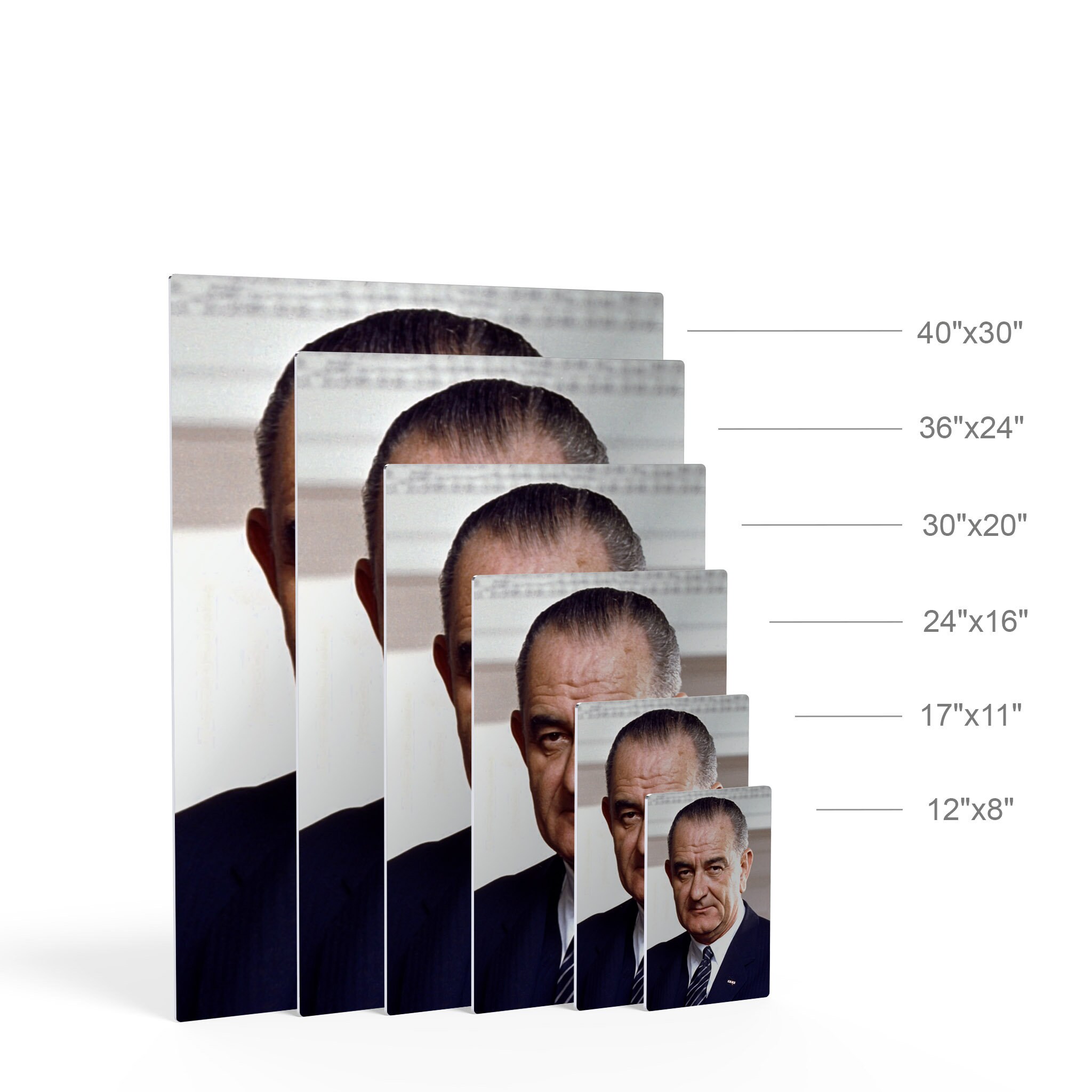 36th President of America Lyndon Baines Johnson Portrait METAL | Etsy