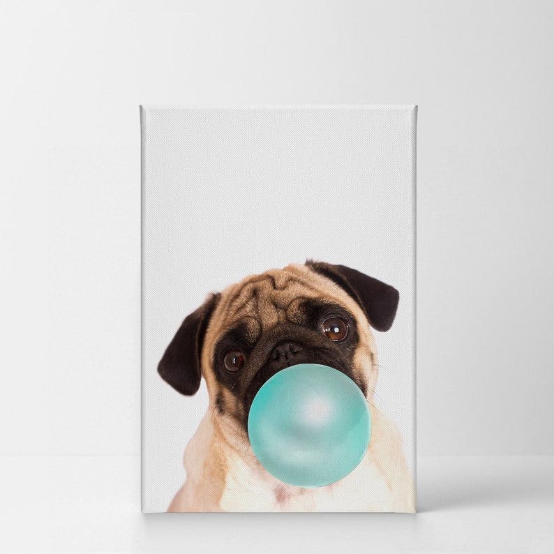 Cute Puppy Pug Dog Animal Bubble Gum Art Teal Blue Canvas Wall | Etsy