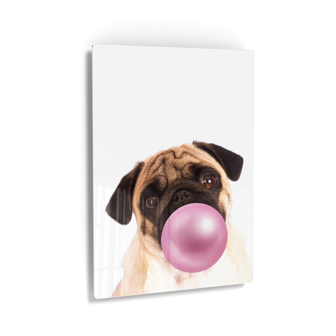 Cute Puppy Pug Dog Animal Bubble Gum Art Pink Metal Print Photo Wall ...