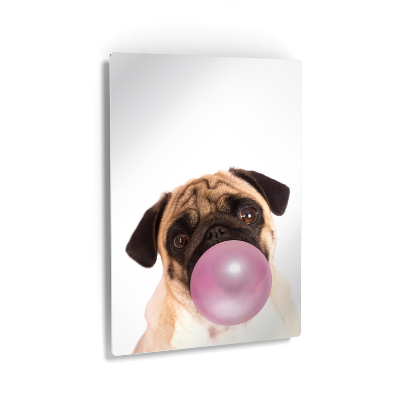 Cute Puppy Pug Dog Animal Bubble Gum Art Pink Metal Print - Etsy