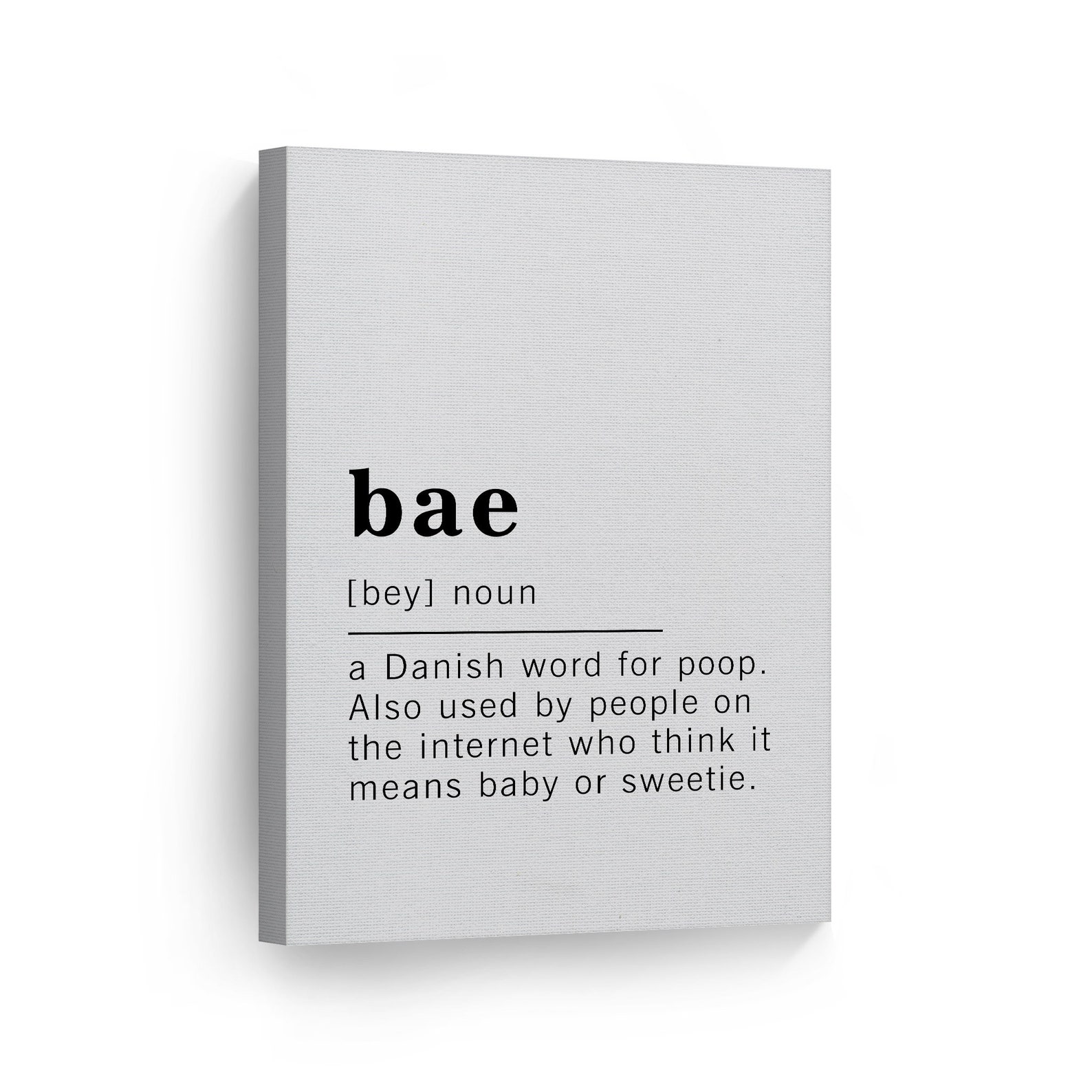 Funny Noun Dictionary Definition of Bae Canvas Print - Etsy