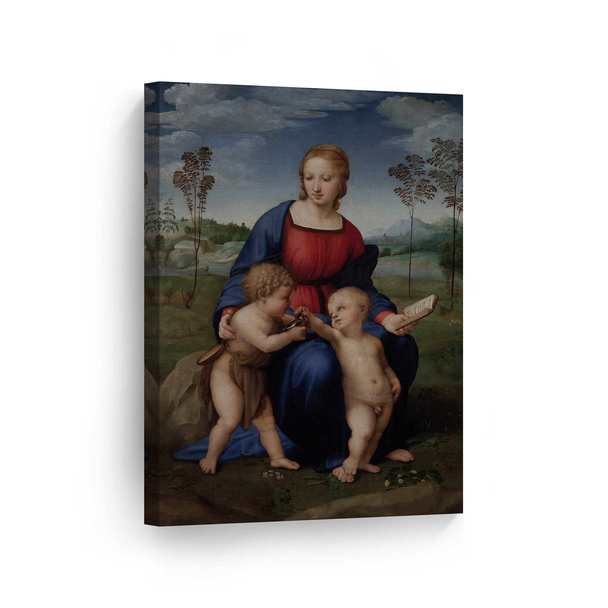 Madonna of the Goldfinch by Raphael Art Canvas Wall Art Print - Etsy