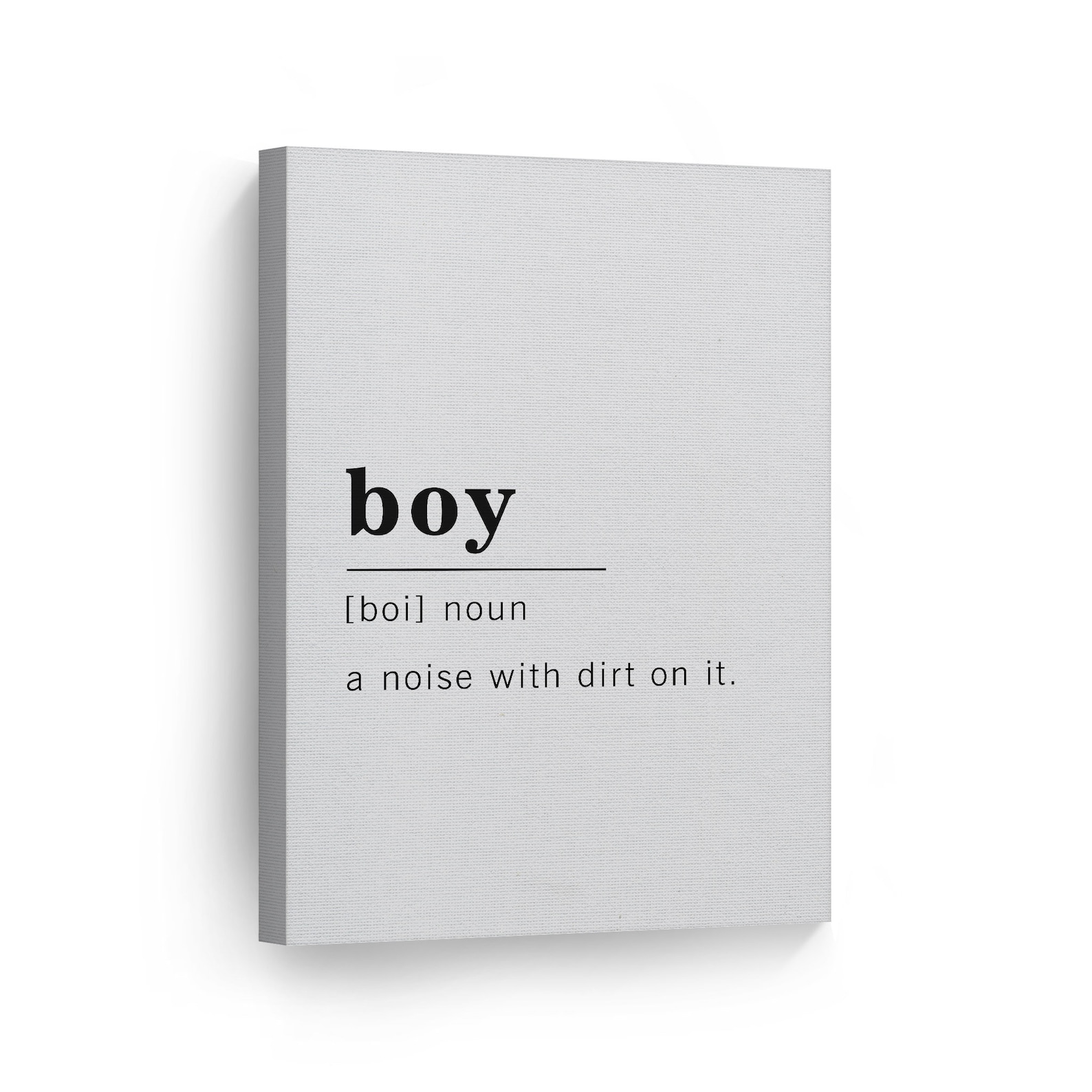 Funny Noun Dictionary Definition of Boy Canvas Print Inspirational ...