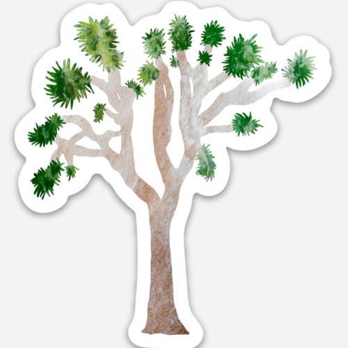Joshua Tree Sticker National Park Label Vinyl Sticker Clear - Etsy