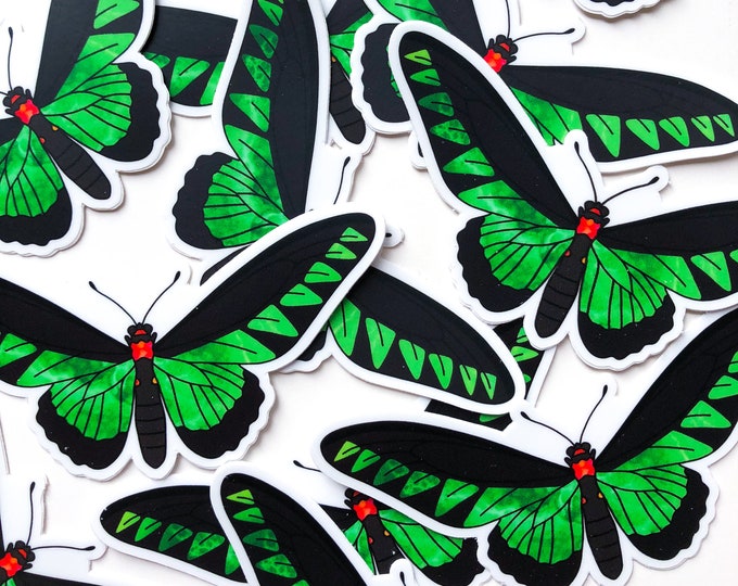 Rajah Brooke's Birdwing, Vinyl Sticker, Nature Sticker, Laptop Decal ...