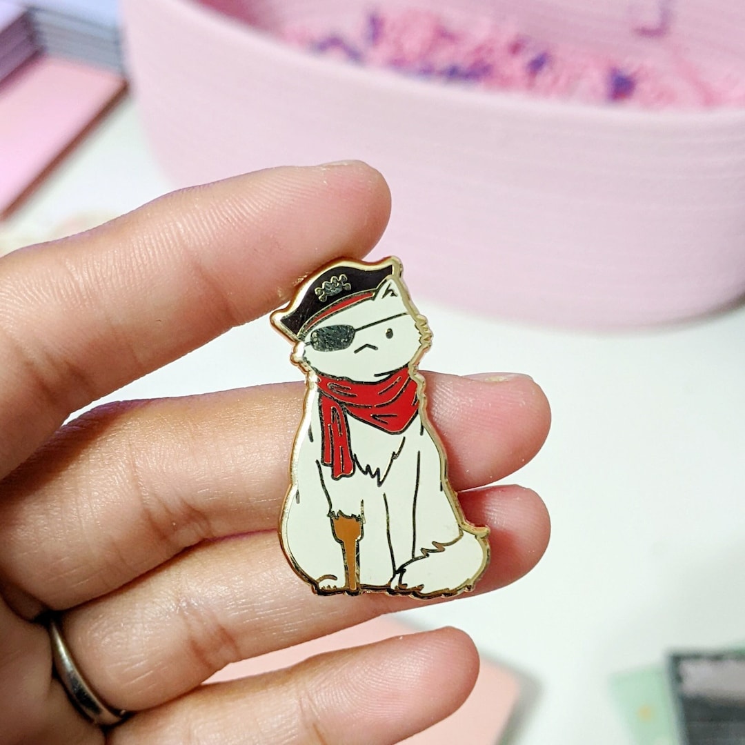 Pirate Cat Enamel Pin - Etsy