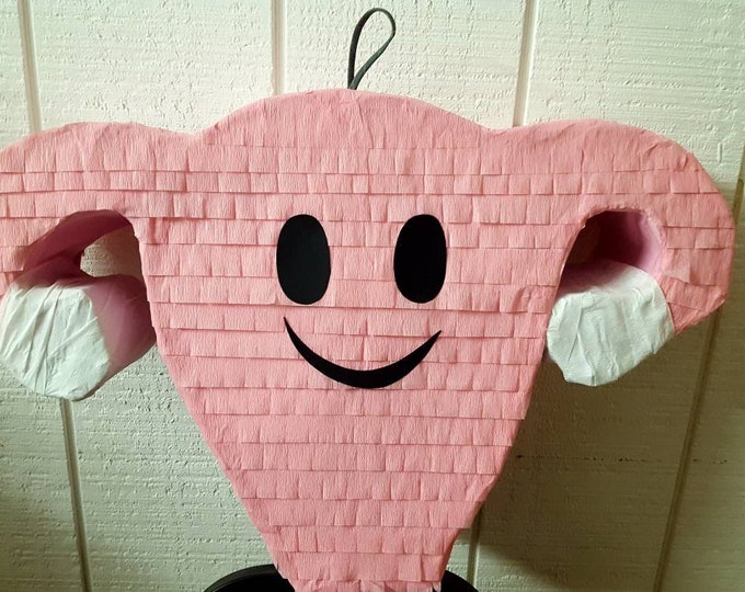 Uterus Pinata - Etsy