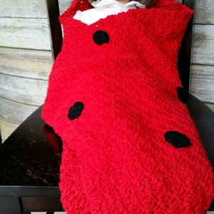 Ladybug Hooded Blanket Crochet Pattern - Etsy