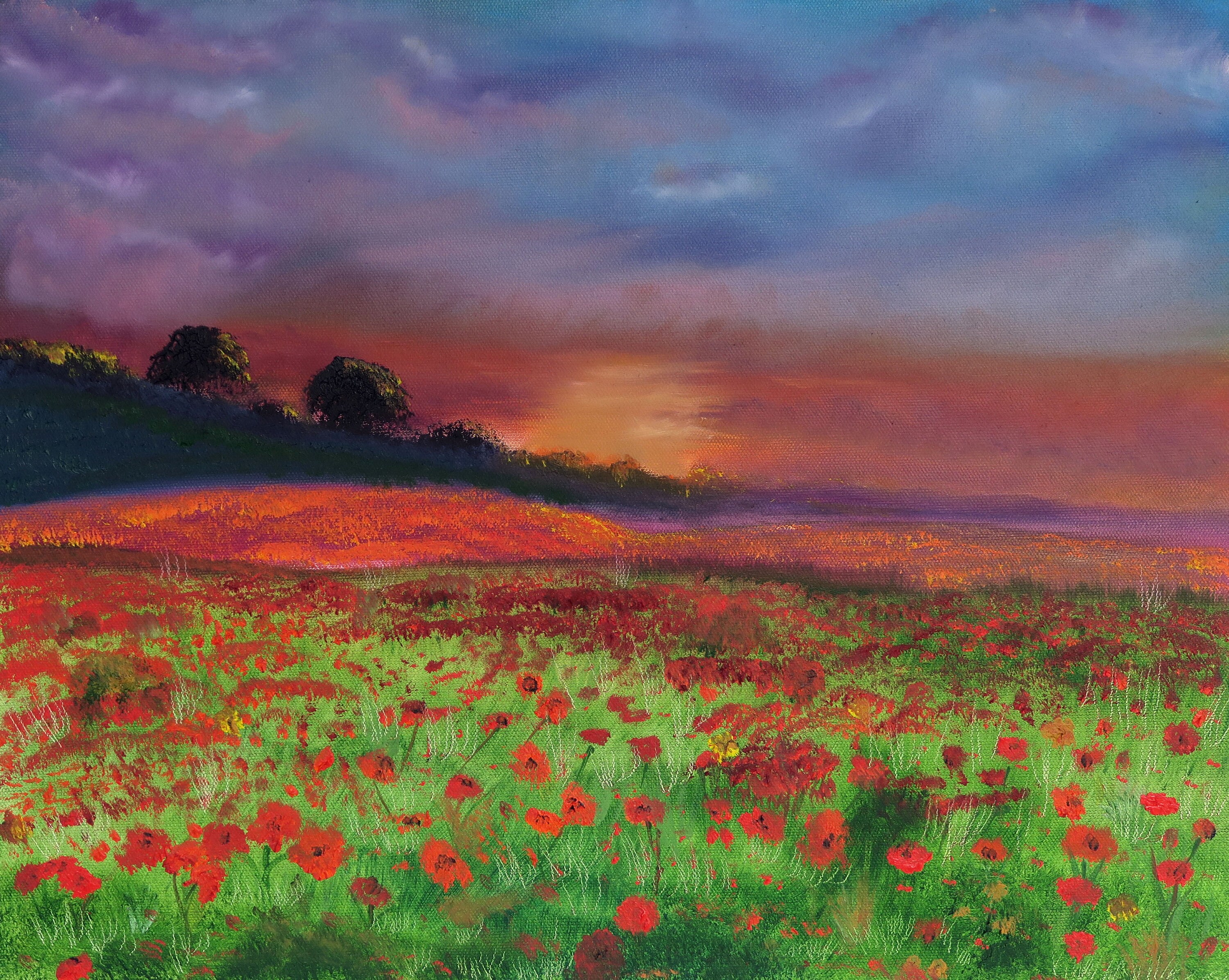 Poppies at Sunset - Etsy