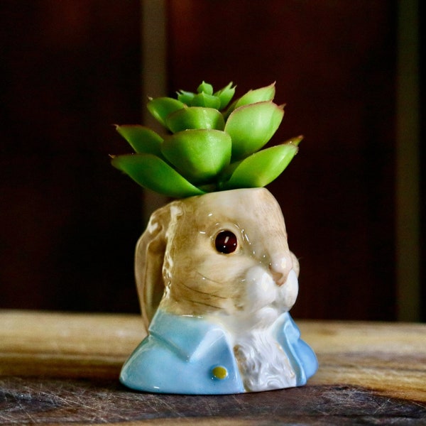 Rabbit Bust - Etsy