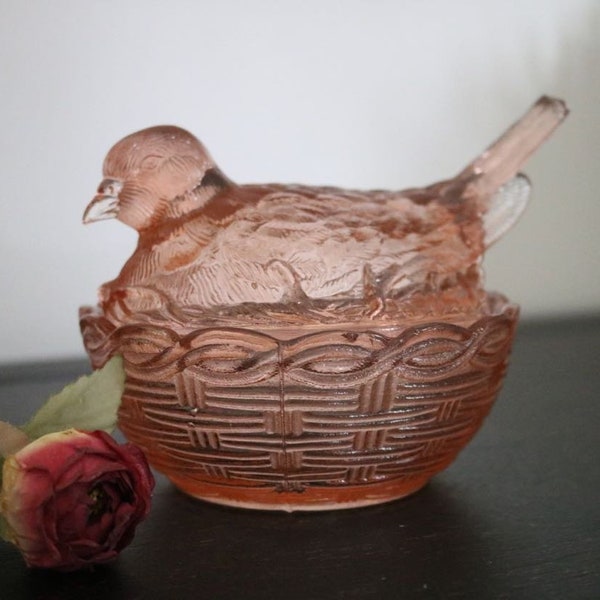 Robin in Nest - Etsy