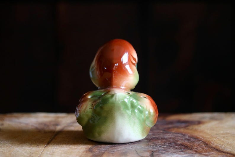 Vintage Rio Hondo Duck Flower Frog, Kitschy Spring Decor, Cute Brown ...