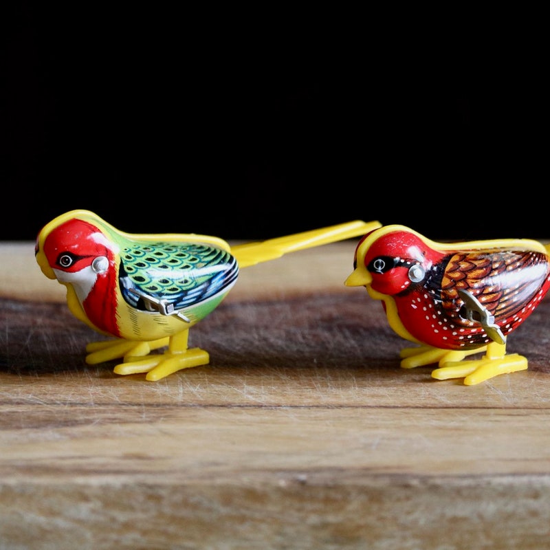 Tin With Birds - Etsy