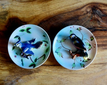 Blue Bird Plate - Etsy