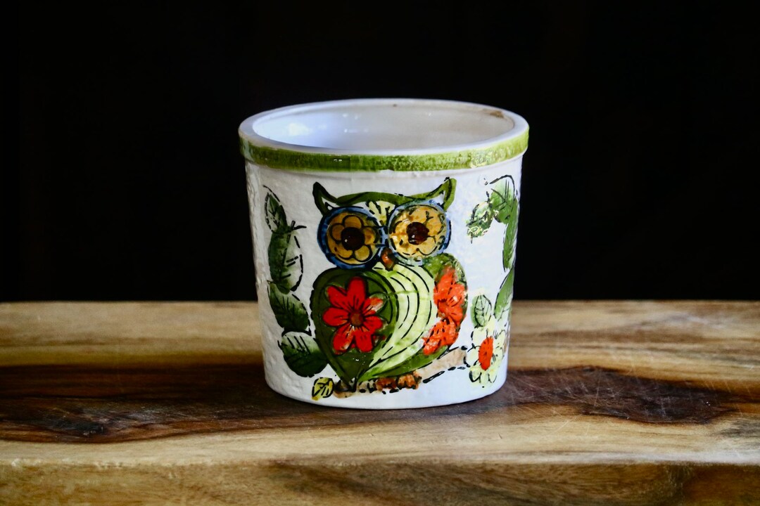 Vintage Relpo Owl Flower Pot, Cute Indoor Garden Decor, Retro Funky Owl ...